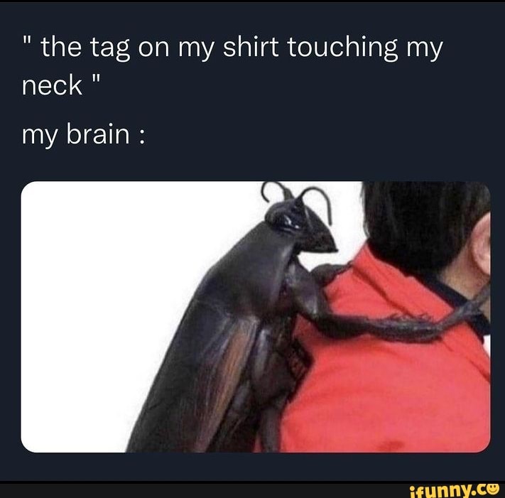 "the tag on my shirt touching my neck my brain : - iFunny