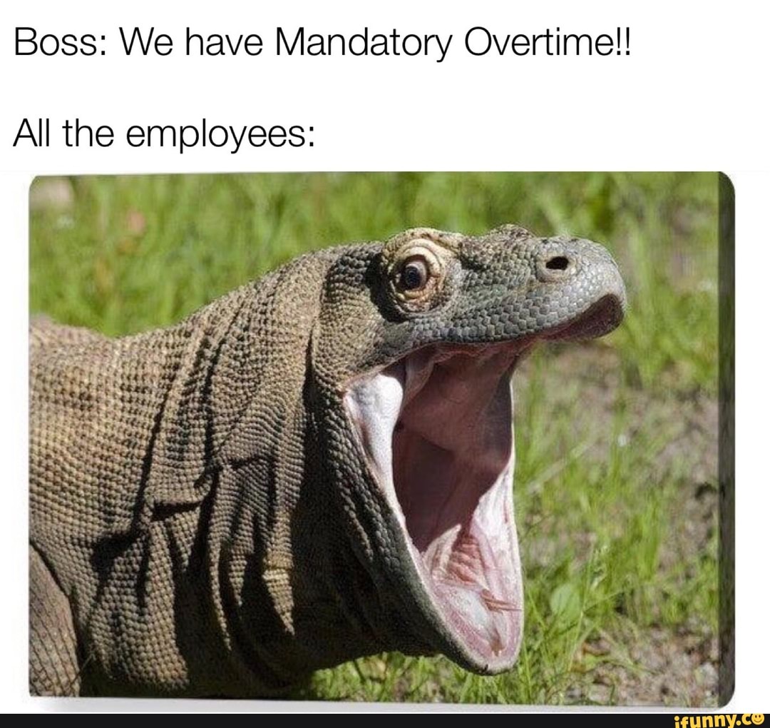 Boss: We have Mandatory Overtime!! All the employees: - iFunny