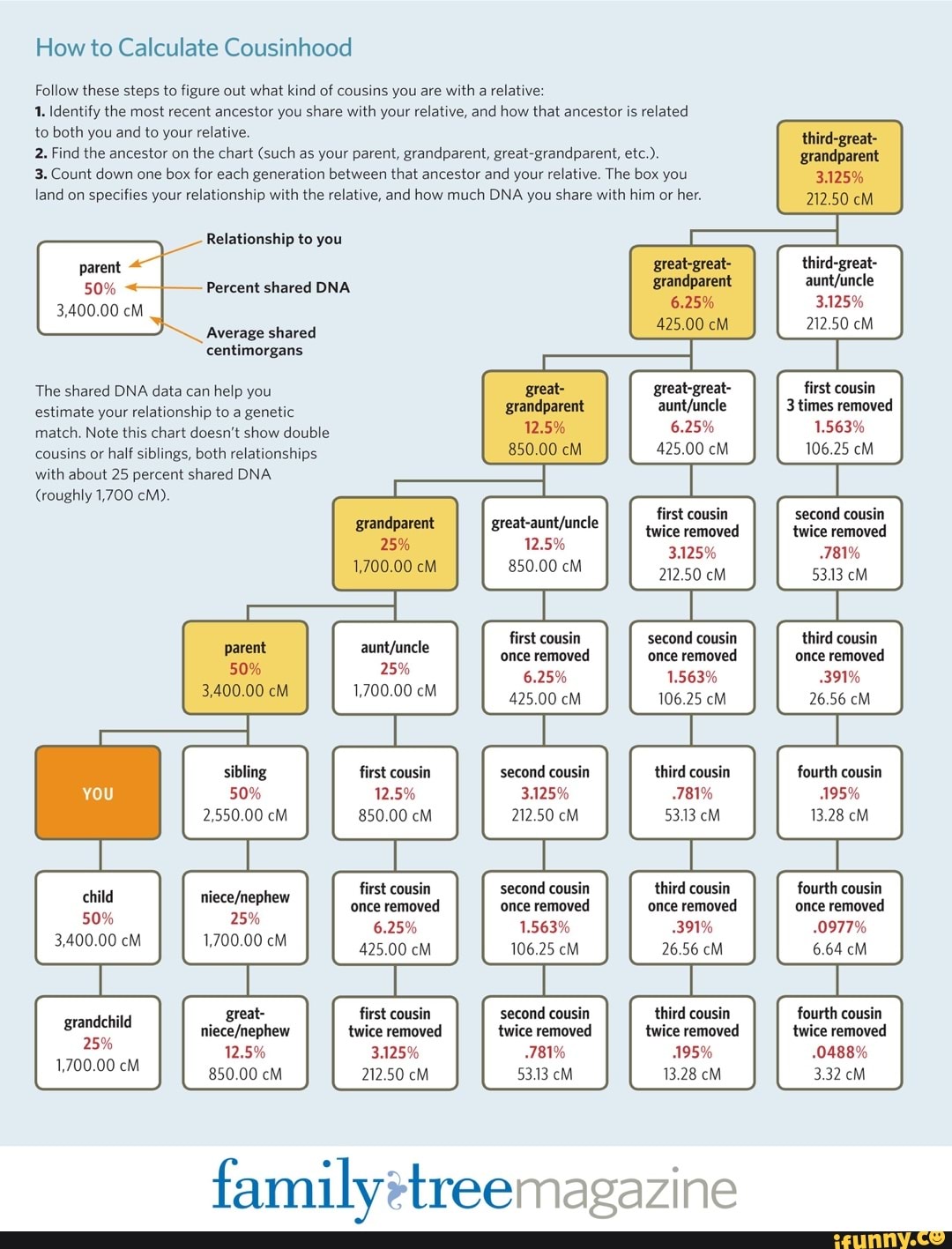 How to Calculate Cousinhood Follow these steps to figure out what kind of cousins you are with a ...