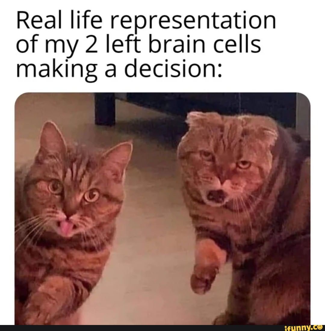 Real life representation of my 2 left brain cells making a decision ...