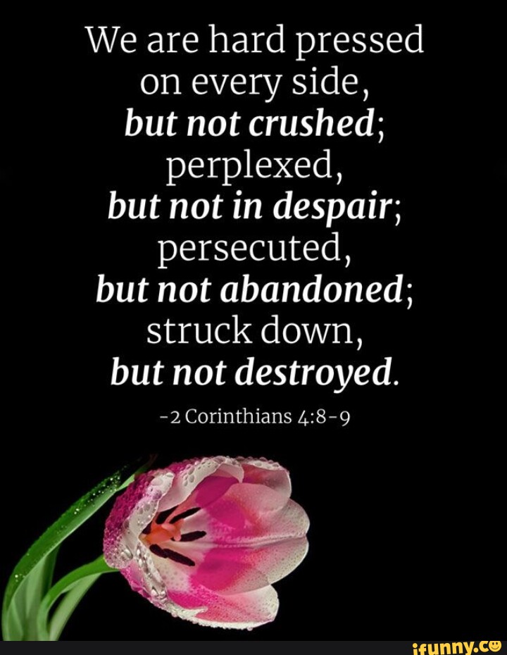 Perplexed memes. Best Collection of funny Perplexed pictures on iFunny