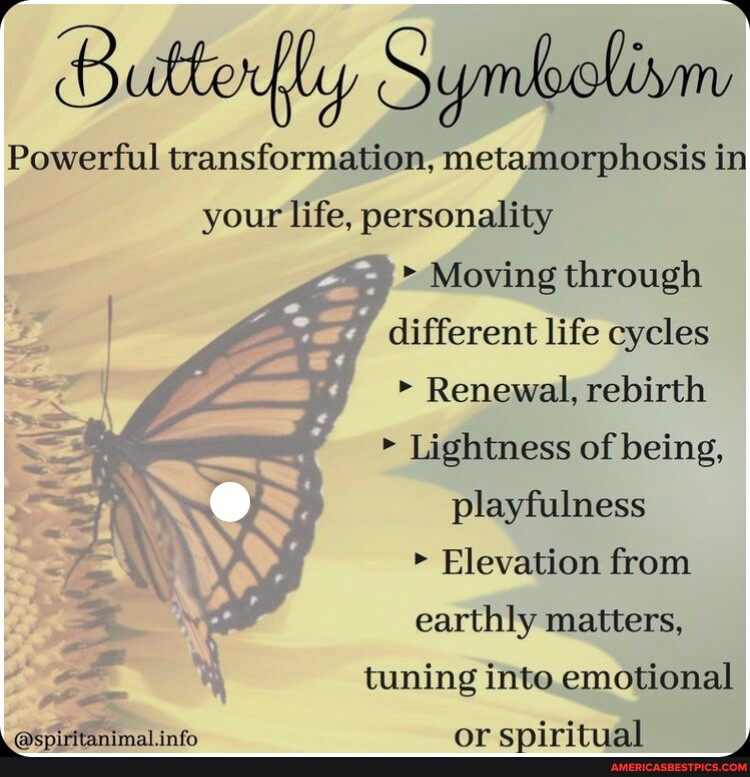 Butterfly Symbolism Powerful transformation, metamorphosis in your life ...