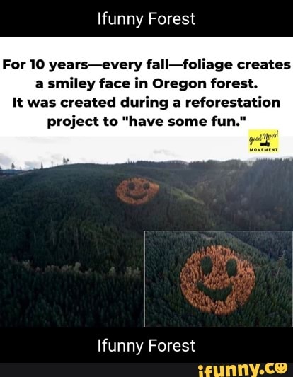 Ifunny Forest For 10 years-every fall-foliage creates a smiley face in ...