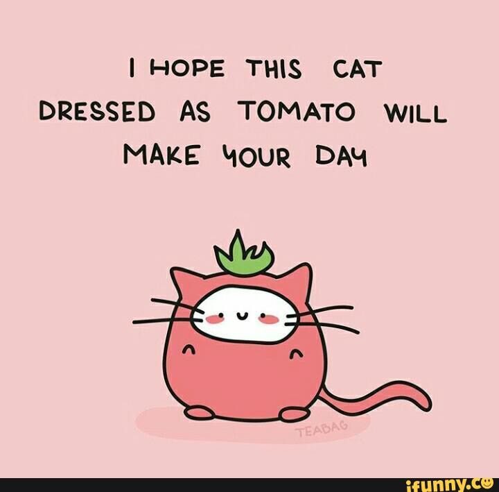 I HOPE THIS CAT DRESSED AS TOMATO WILL MAKE YouR DAY - iFunny