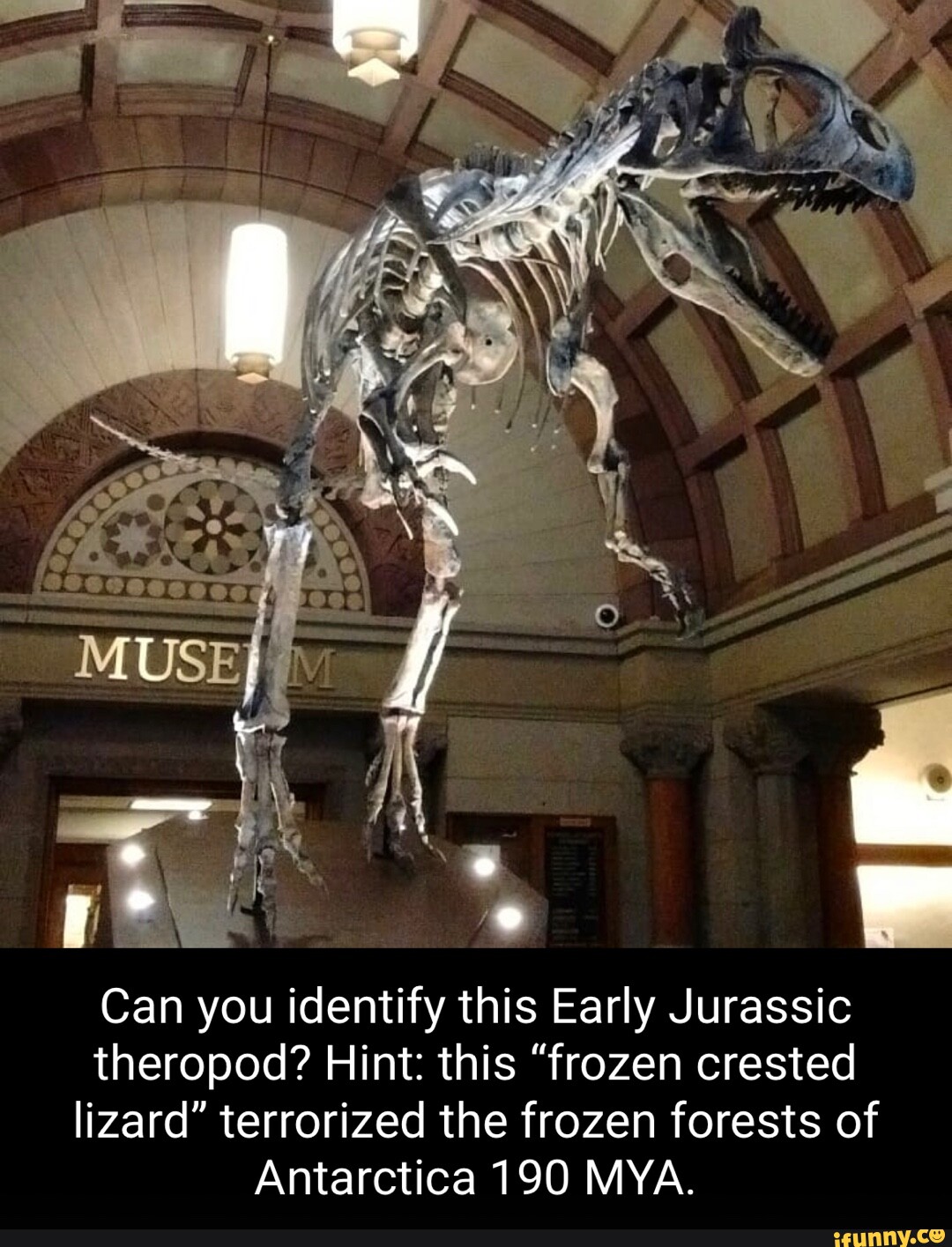 MUSE Can you identify this Early Jurassic theropod? Hint: this "frozen ...