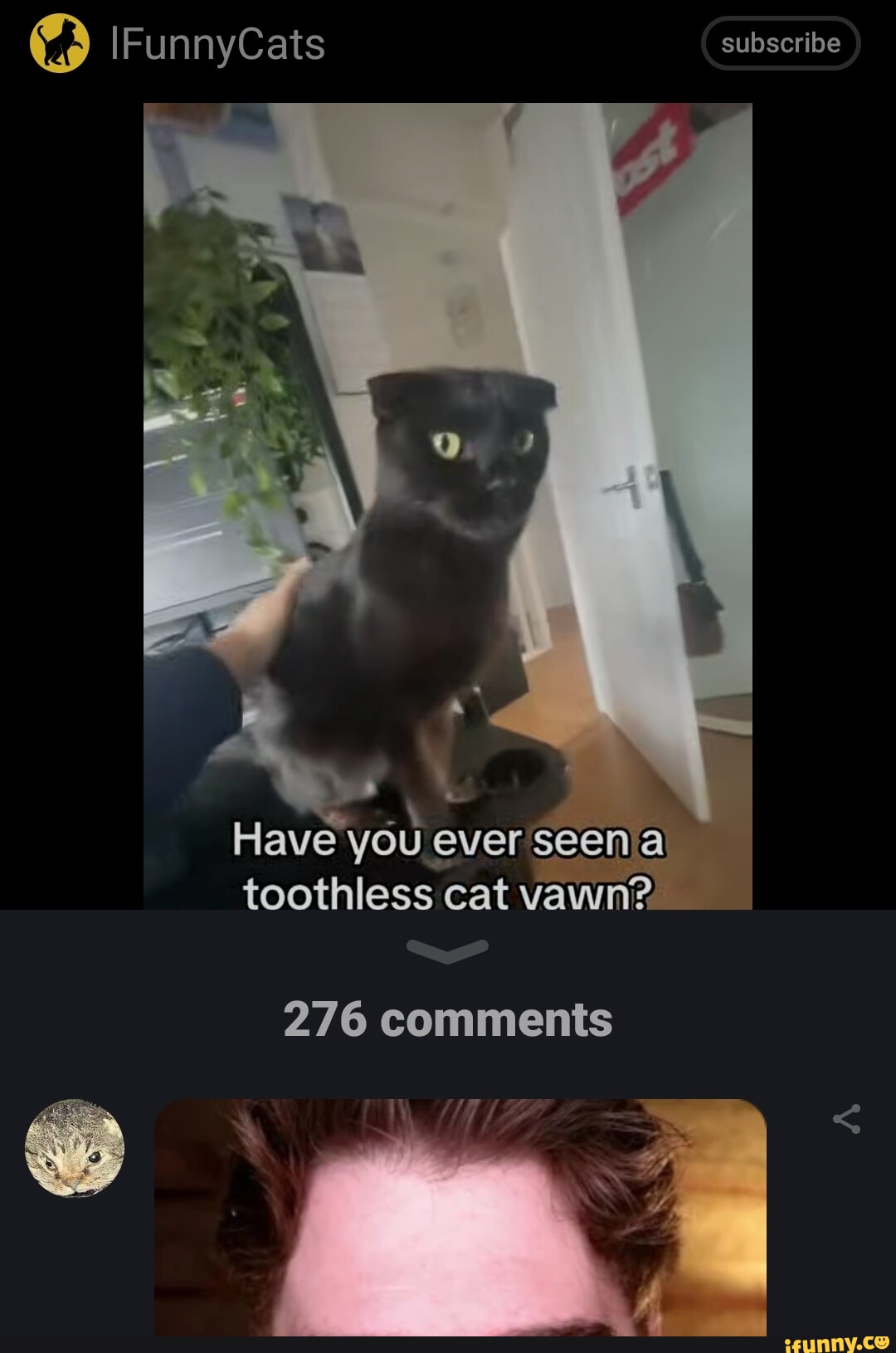 Toothless memes. Best Collection of funny Toothless pictures on iFunny