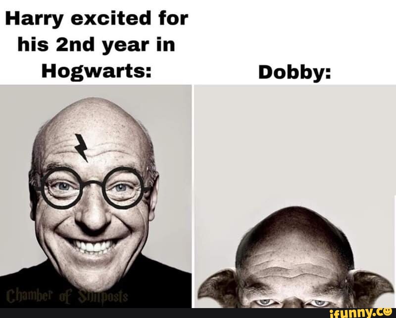 Harry excited for his year in Hogwarts: Dobby: - iFunny