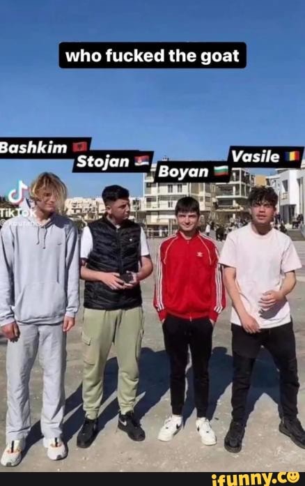 Stojan memes. Best Collection of funny Stojan pictures on iFunny