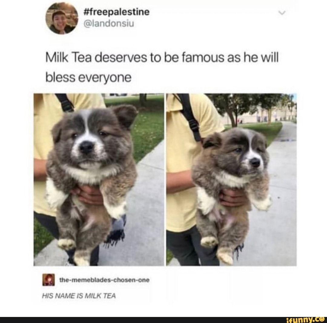 Milk Tea deserves to be famous as he will bless everyone a the ...