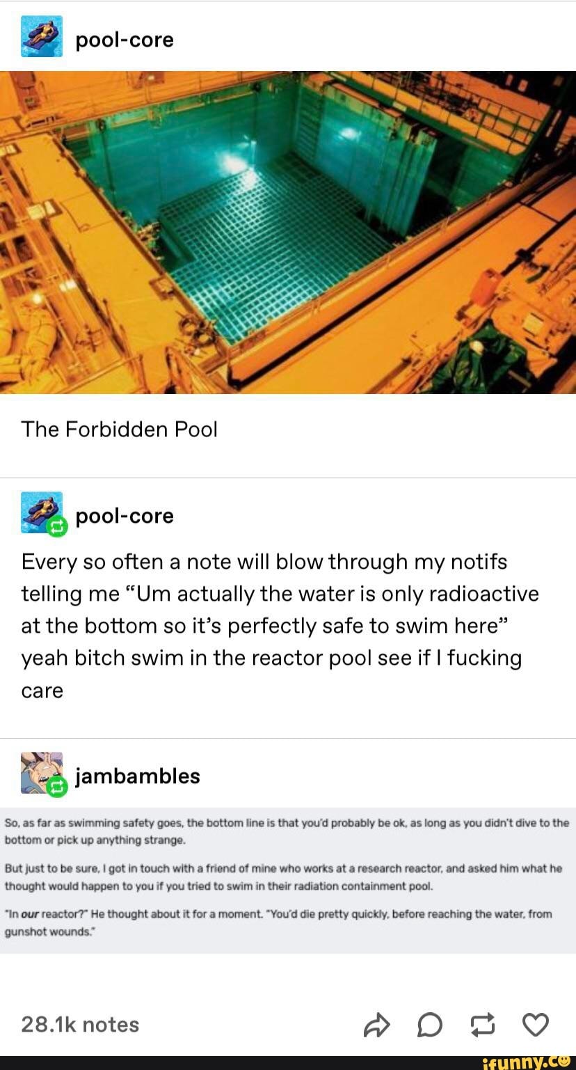 Poolcore memes. Best Collection of funny Poolcore pictures on iFunny