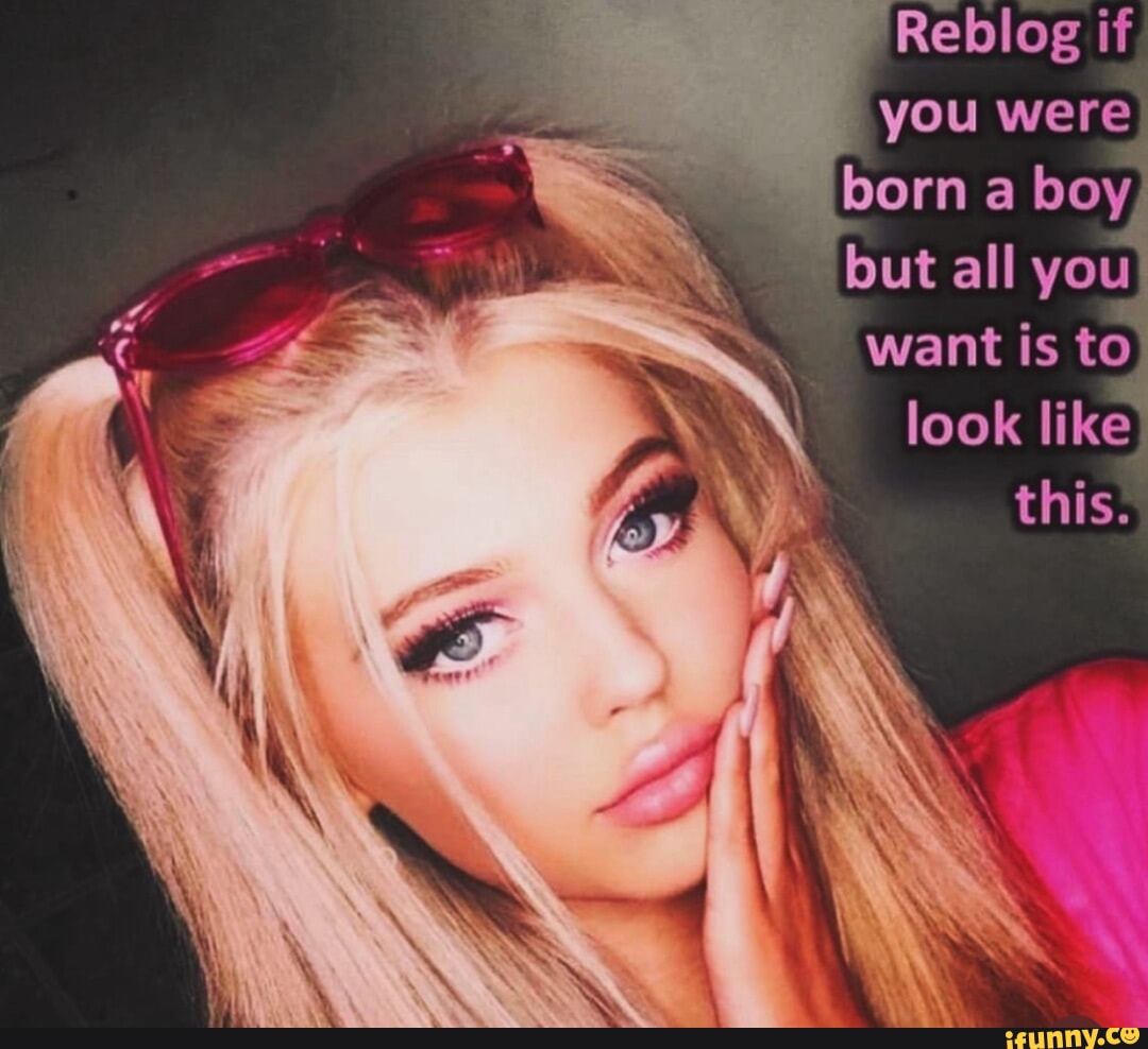 Pegging memes. Best Collection of funny Pegging pictures on iFunny