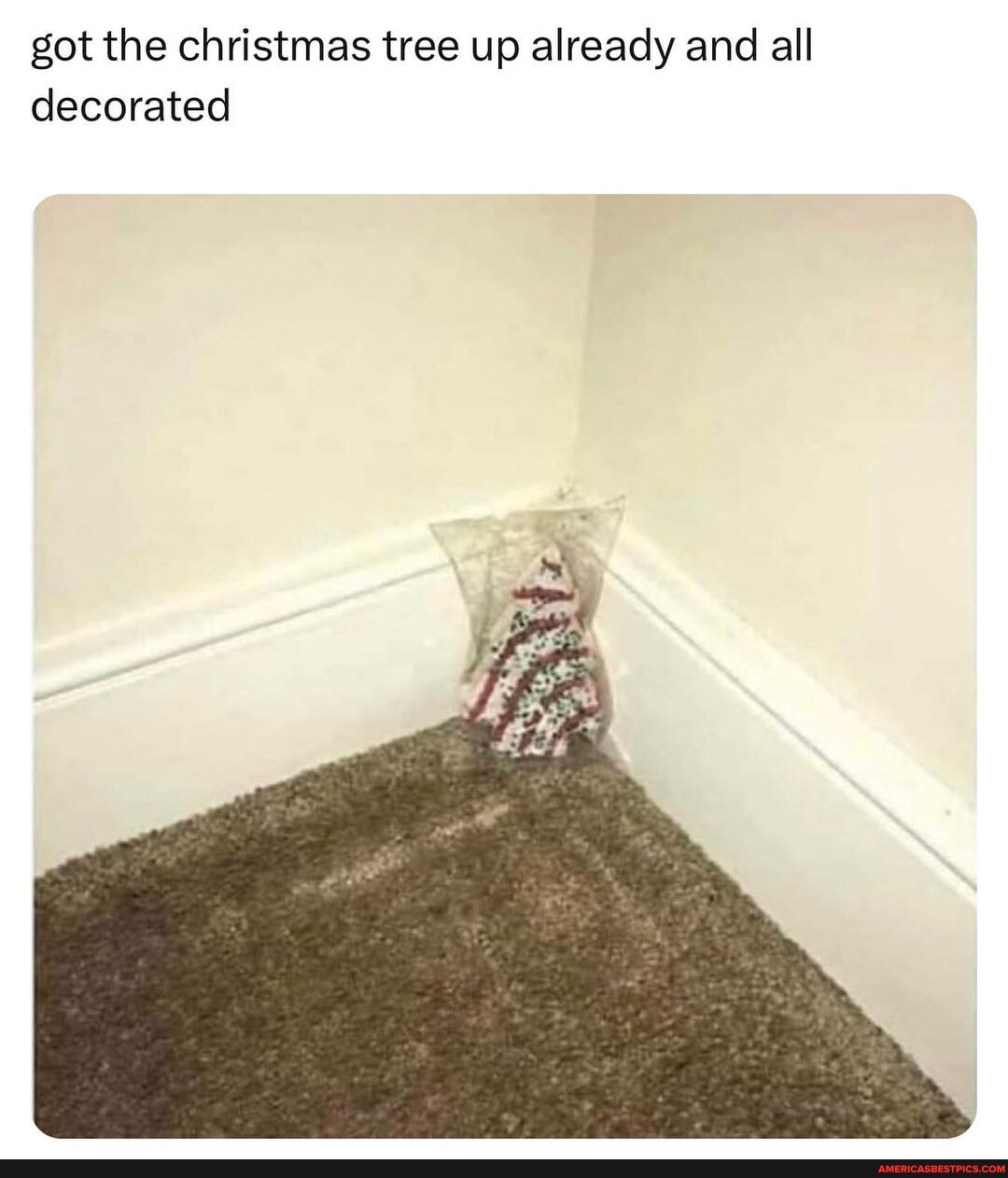 Beautiful 🎄 #explore #funny #memes #viral #christmas #comedy - got the ...