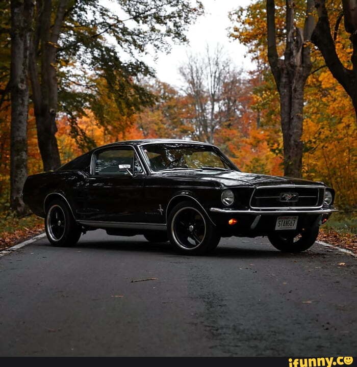 Ford_mustang_mach_1 memes. Best Collection of funny Ford_mustang_mach_1 ...