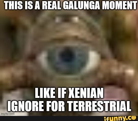 Galunga memes. Best Collection of funny Galunga pictures on iFunny
