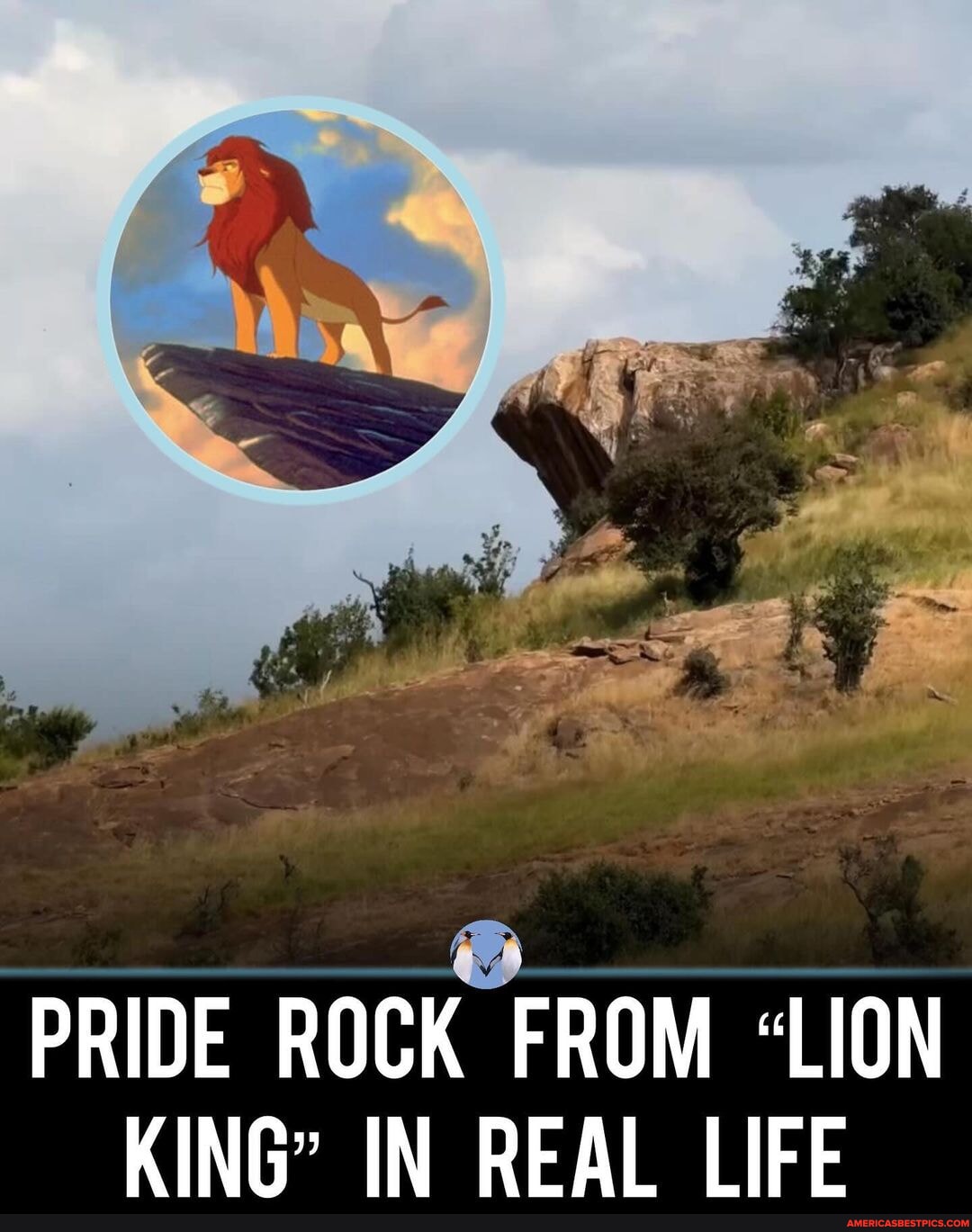 The real-life PRIDE ROCK from Disney’s Lion King 🦁👑 Borana Conservancy ...