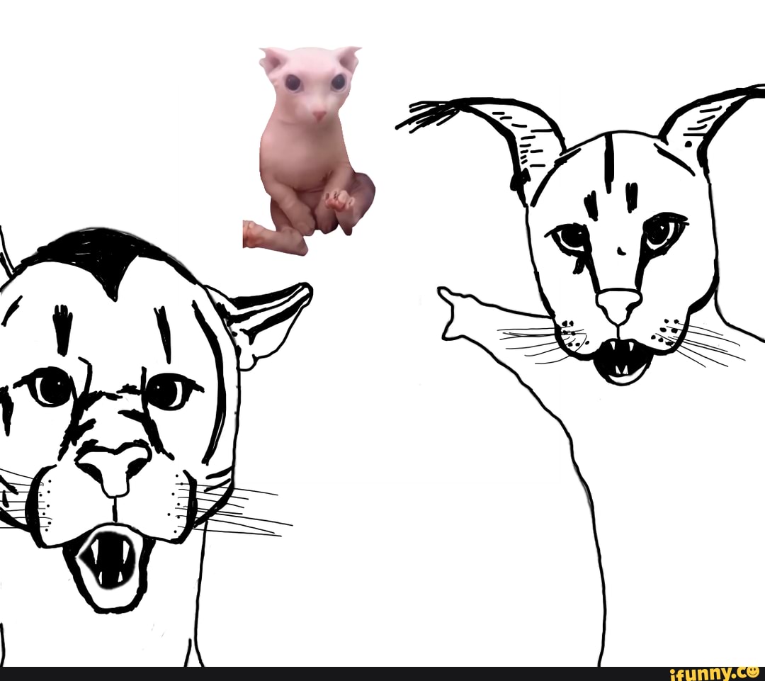 Plinka memes. Best Collection of funny Plinka pictures on iFunny