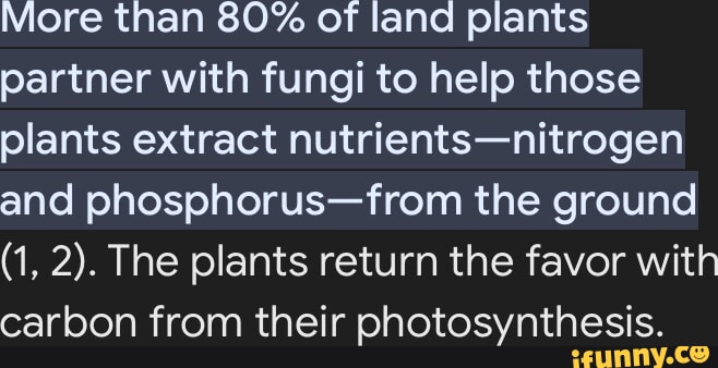 Photosynthesis memes. Best Collection of funny Photosynthesis pictures ...