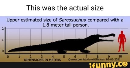 This was the actual size Upper estimated size of Sarcosuchus compared ...