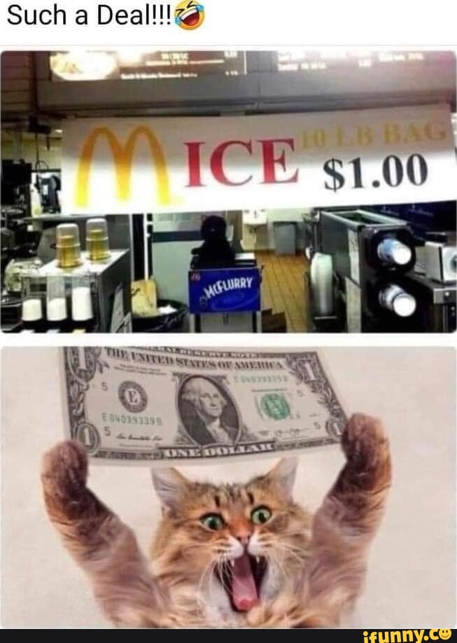 Such a Deal!!! AMIRED stapys an - iFunny