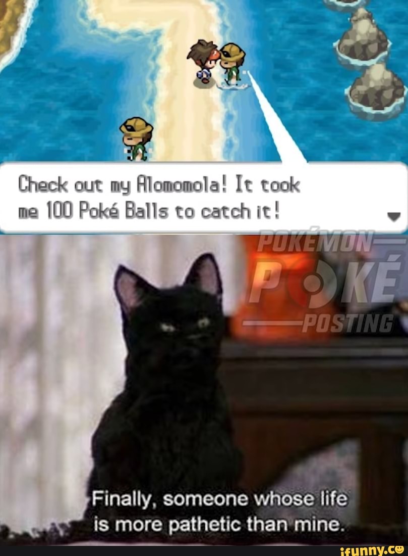 Alomomola memes. Best Collection of funny Alomomola pictures on iFunny