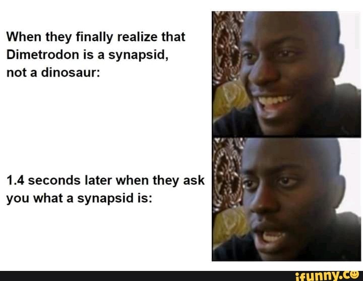 When they ﬁnally realize that Dimetrodon is a synapsid, not a dinosaur ...