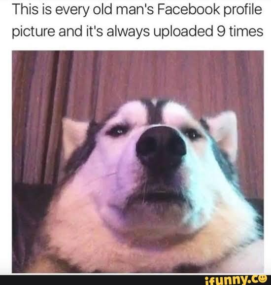 This is every old man's. Facebook profile picture and it's always ...