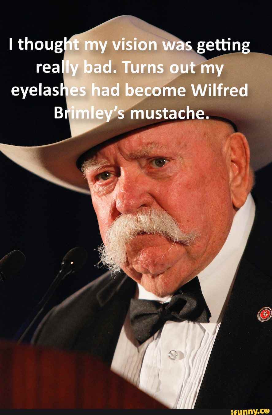 Thought my vision was getting really bad. Turns out my eyelashes had ...