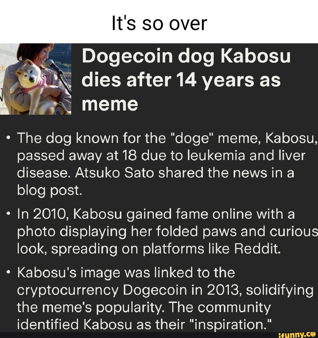 Leukemia memes. Best Collection of funny Leukemia pictures on iFunny