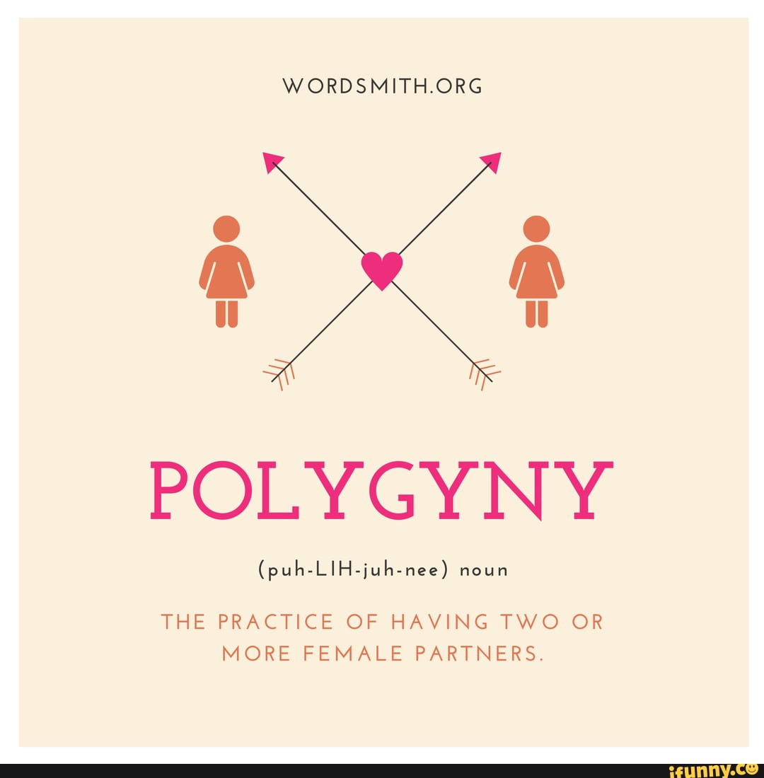 Poly memes. Best Collection of funny Poly pictures on iFunny