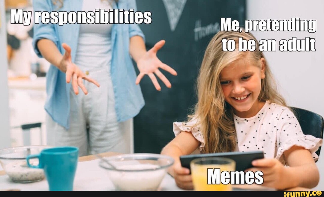 My responsibilities Me, pretending to he an aduit Memes - iFunny
