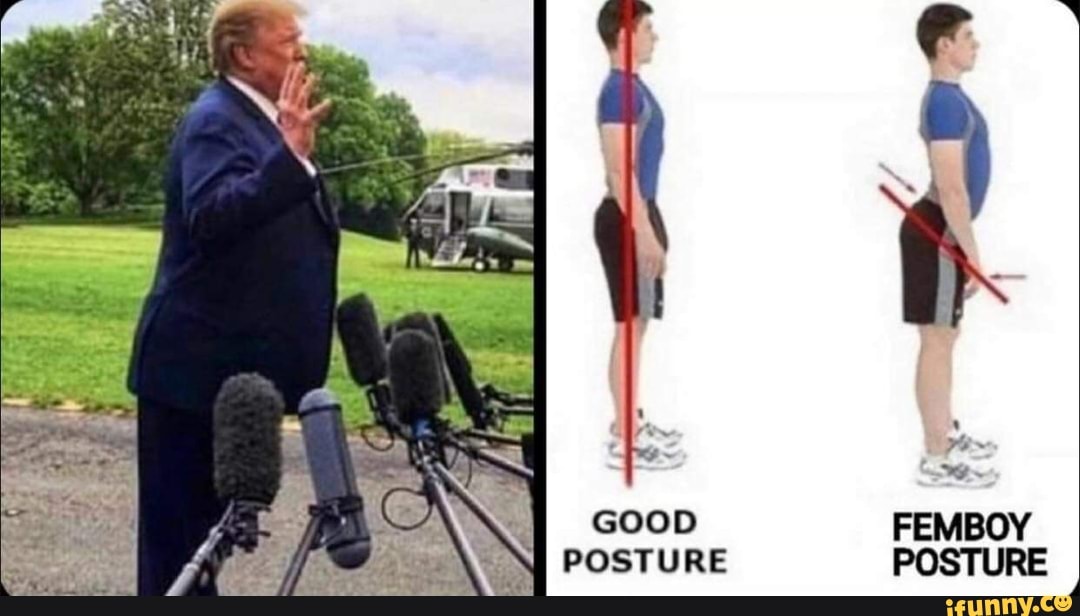GOOD POSTURE FEMBOY POSTURE - iFunny