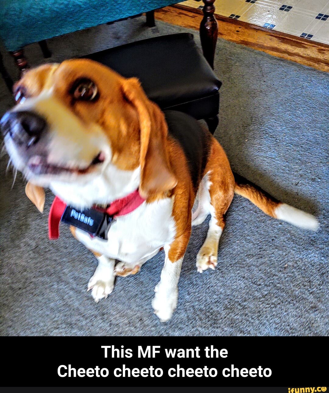 Eeto memes. Best Collection of funny Eeto pictures on iFunny