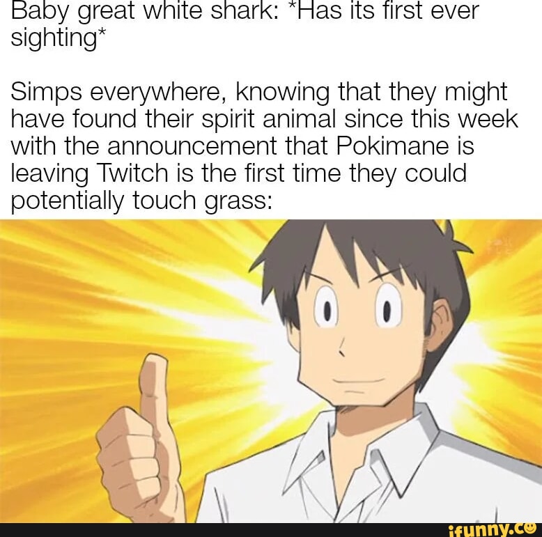 Pokimane memes. Best Collection of funny Pokimane pictures on iFunny