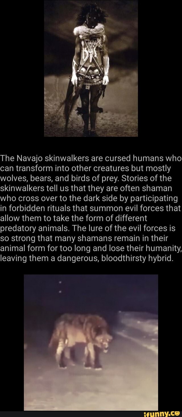 The Navajo skinwalkers are cursed humans who can transform into other ...