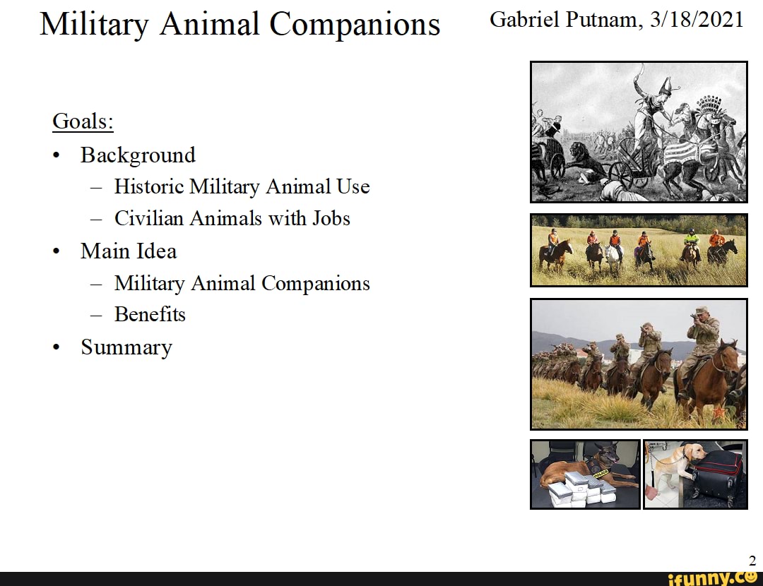 Slides describing historical military animal use, modern civilian ...