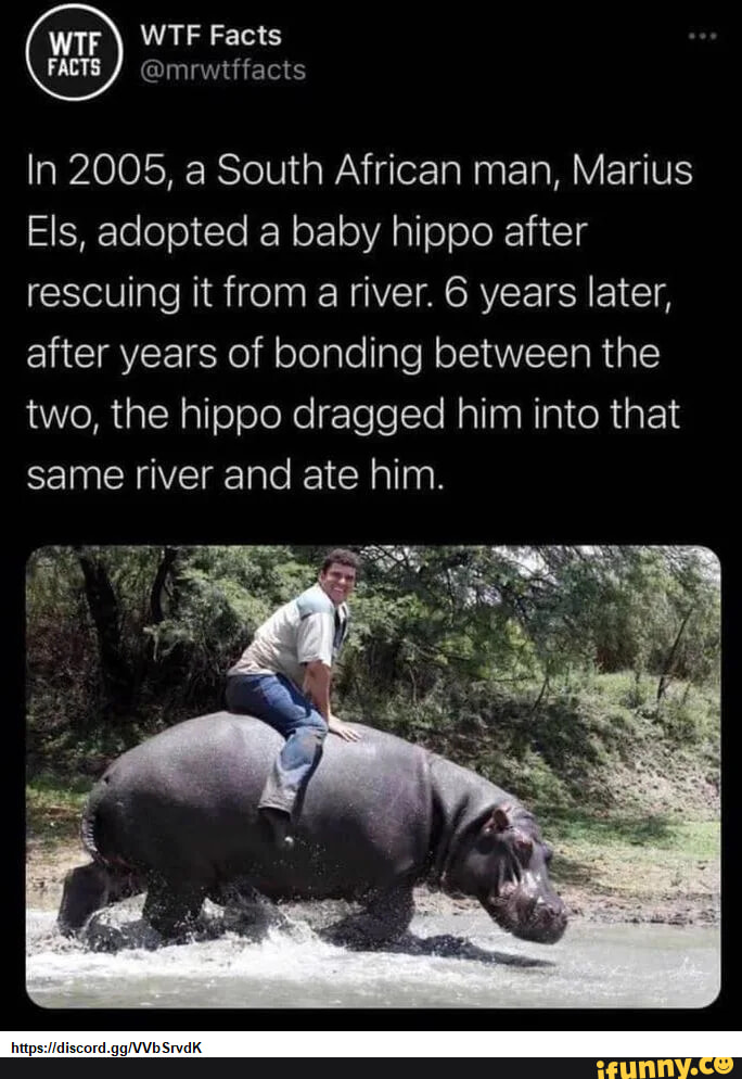 \ Facts @mrwiffacts In 2005, a South African man, Marius Els, adopted a ...