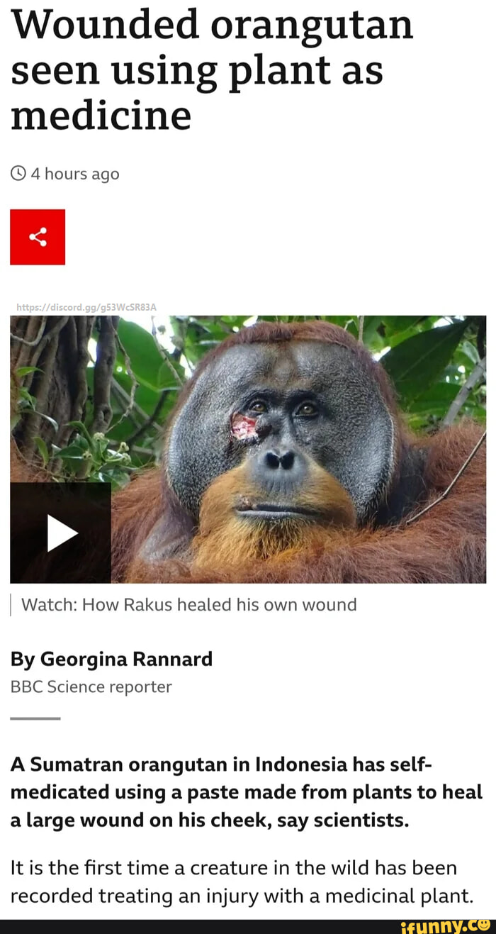 SE Made with mematicgs *realization* - iFunny