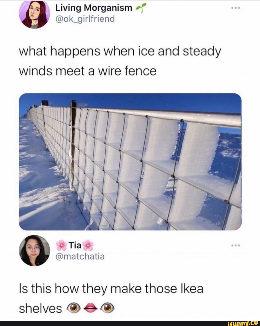 I\ Living Morganism @ok_girlfriend what happens when ice and steady ...
