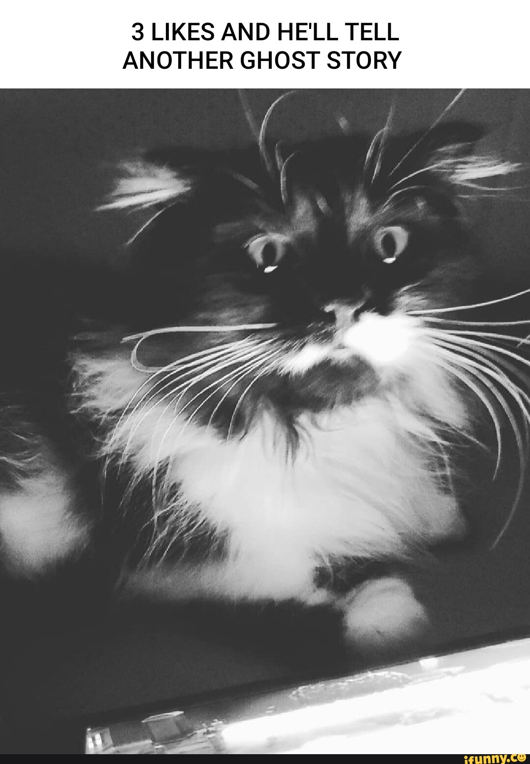 3 LIKES AND HE'LL TELL ANOTHER GHOST STORY - iFunny