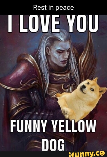 Noe memes. Best Collection of funny Noe pictures on iFunny