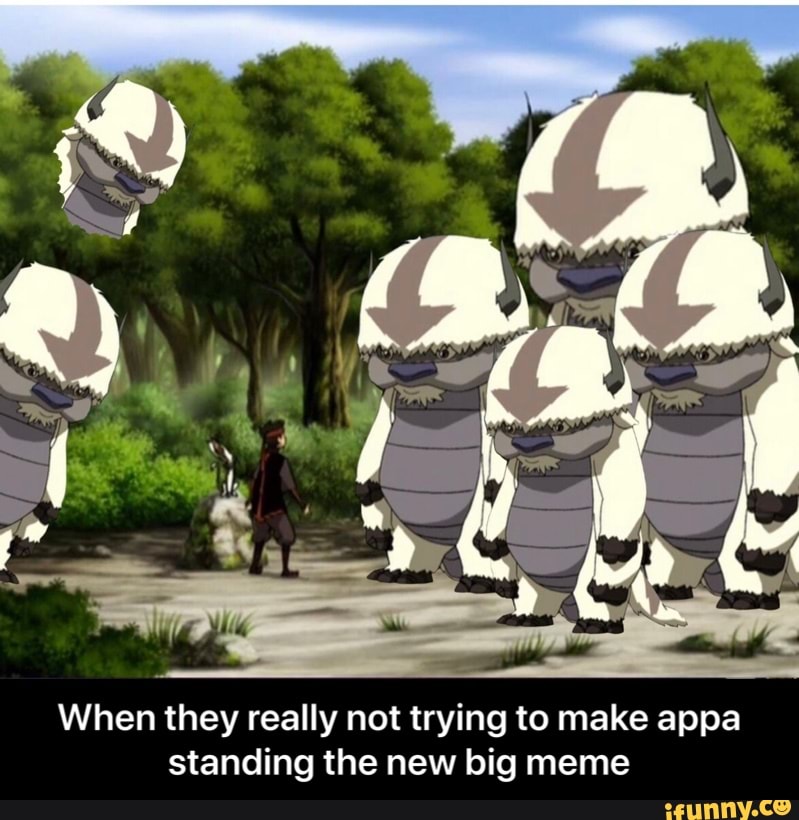 When they really not trying to make appa standing the new big meme ...