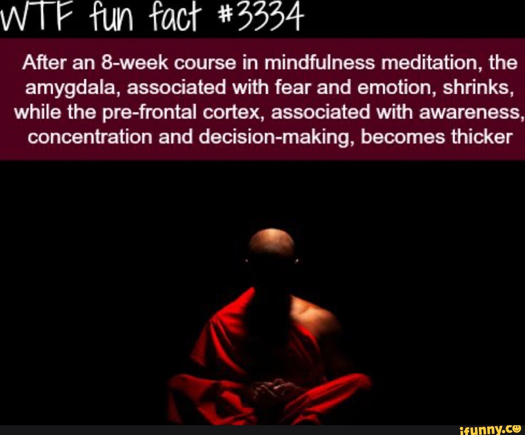 Amygdala memes. Best Collection of funny Amygdala pictures on iFunny