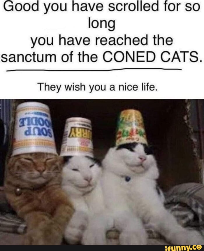 Coned memes. Best Collection of funny Coned pictures on iFunny