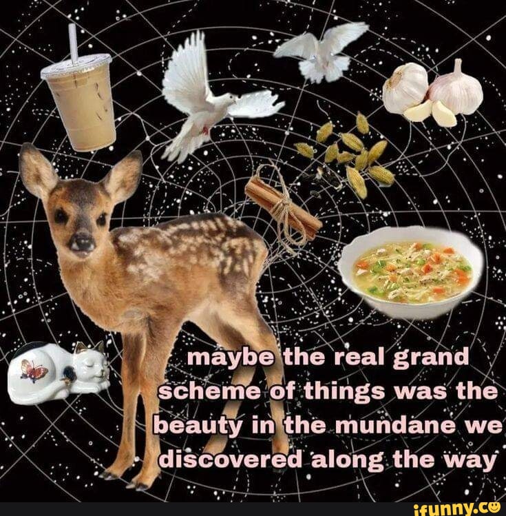 Mundane memes. Best Collection of funny Mundane pictures on iFunny