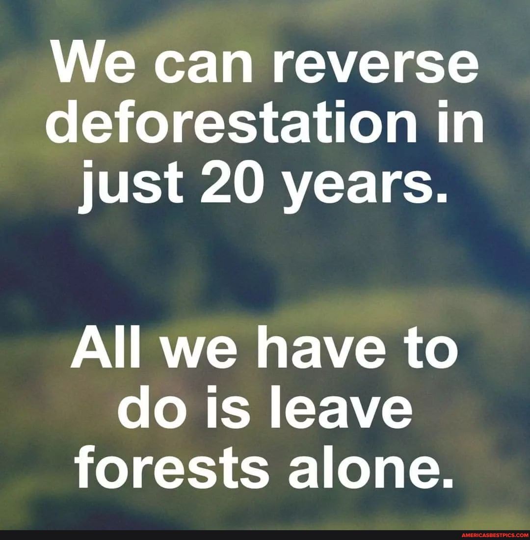 We can reverse deforestation in just 20 years. All we have to do is ...