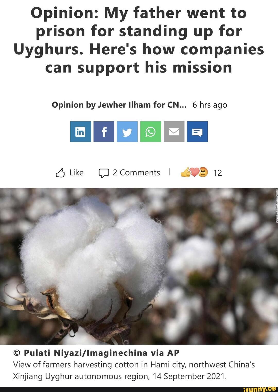 Pulati memes. Best Collection of funny Pulati pictures on iFunny