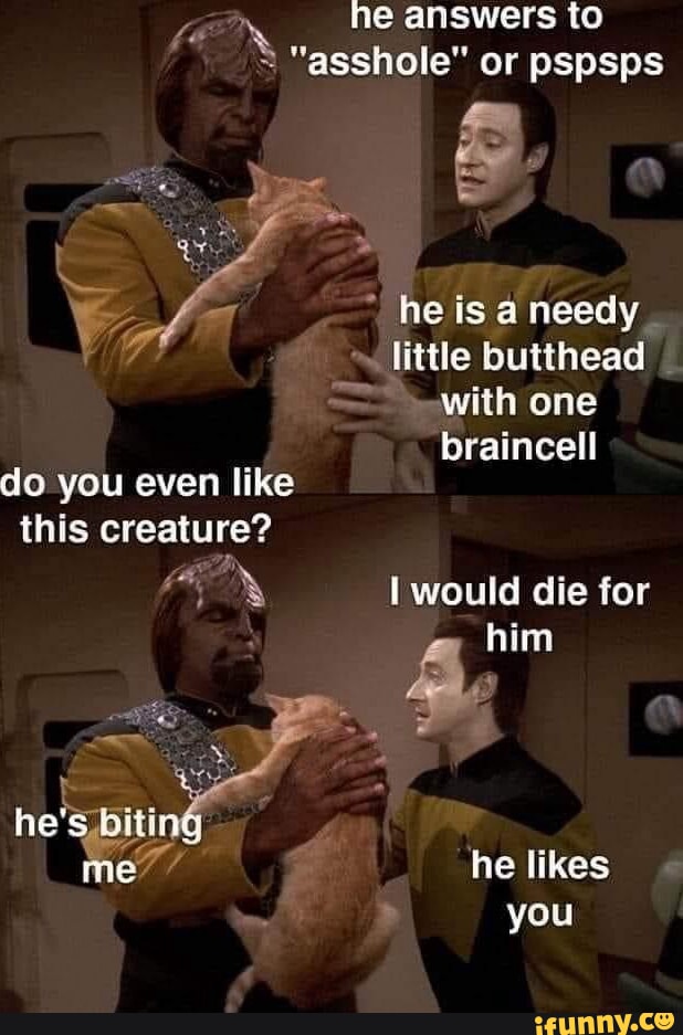 Beavis and Butt-Head memes memes. The best memes on iFunny