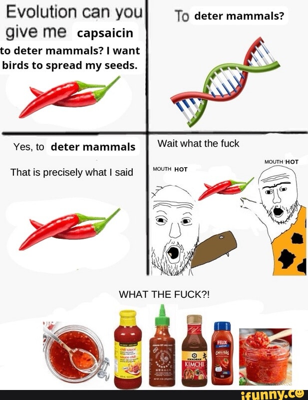 Hello this is Dave Johnson powerball winner, Congratulations you have ...