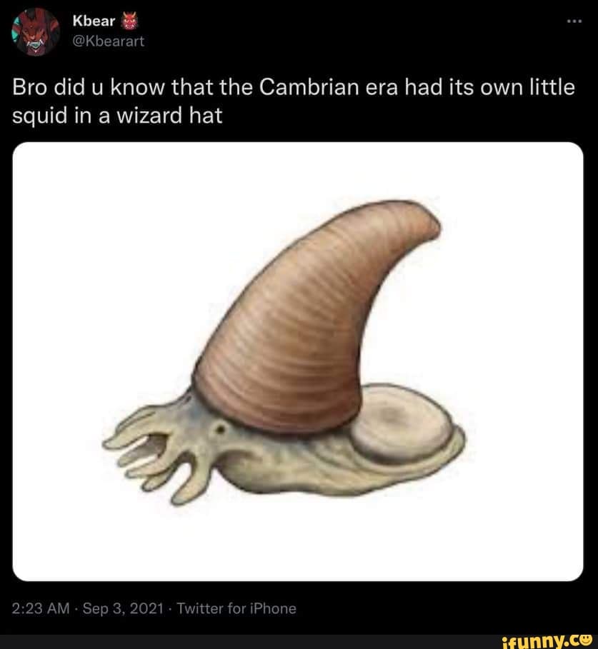 Kbear Bro did u know that the Cambrian era had its own little squid in ...