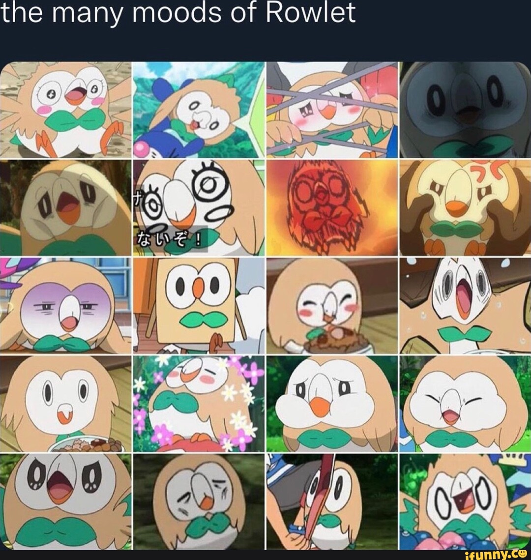 The many moods of Rowlet I - iFunny